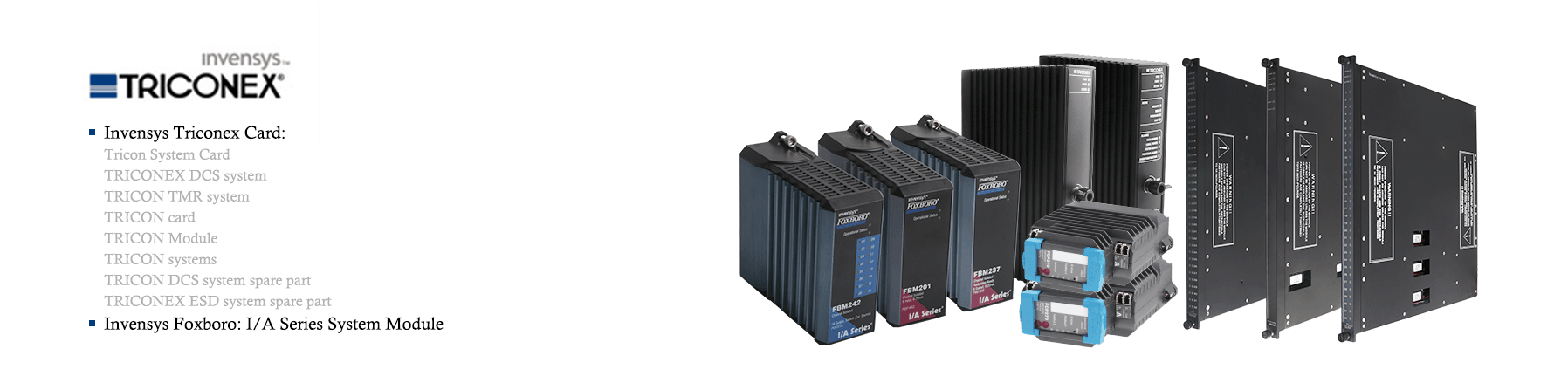 Triconex-Servo module